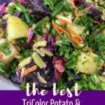 Tricolor Potato Salad with Kale Slaw & Vinaigrette (Super easy version ...
